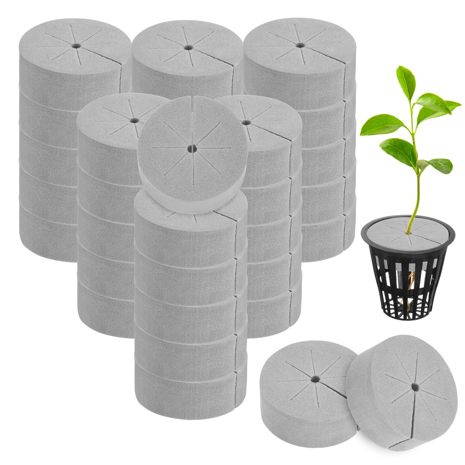 Uxcell 60-Pack Cloning Collars Inserts, Hydroponics Sponge Systems ...