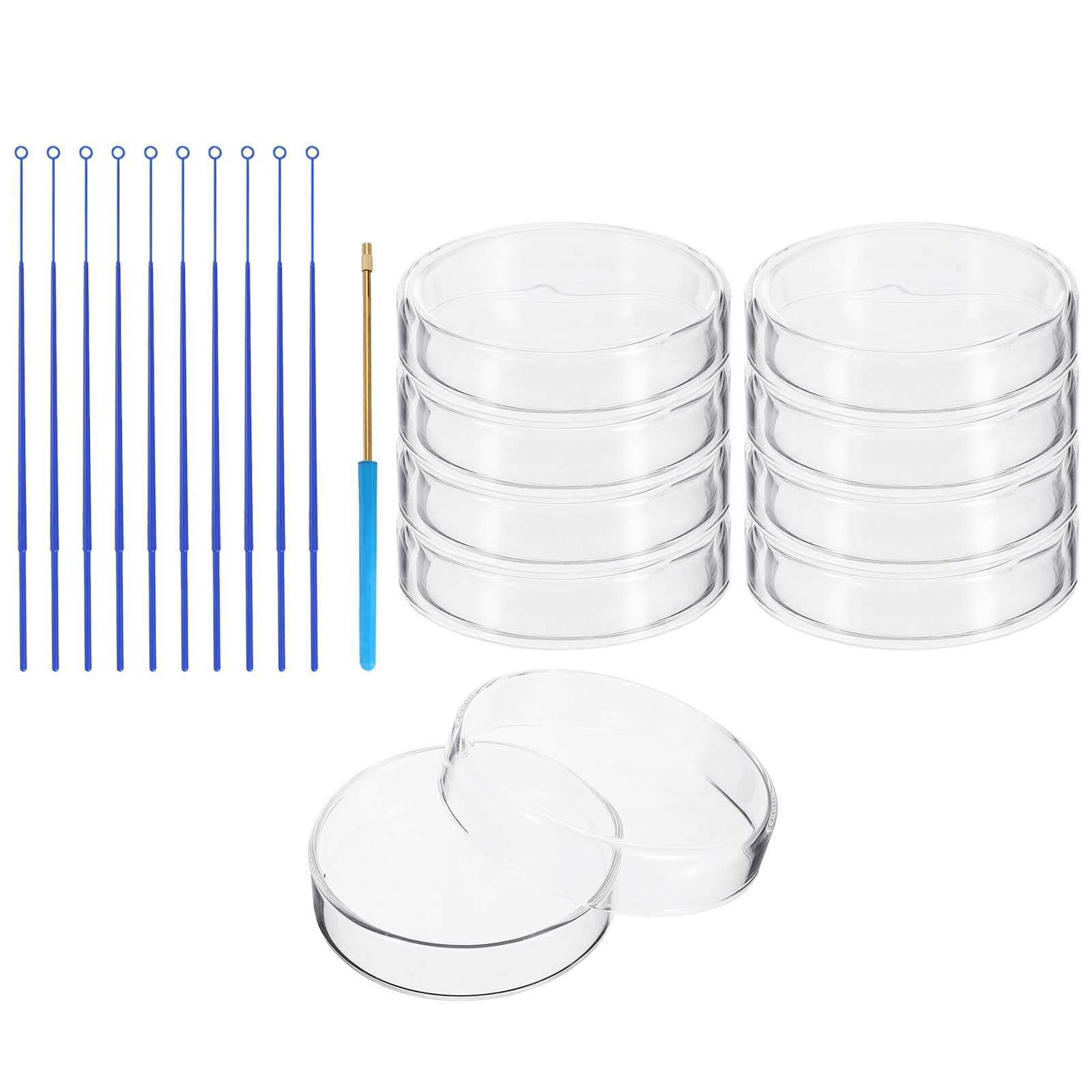 Uxcell 75mm High Borosilicate Glass Petri Dishes with Lids, 10 Pack ...
