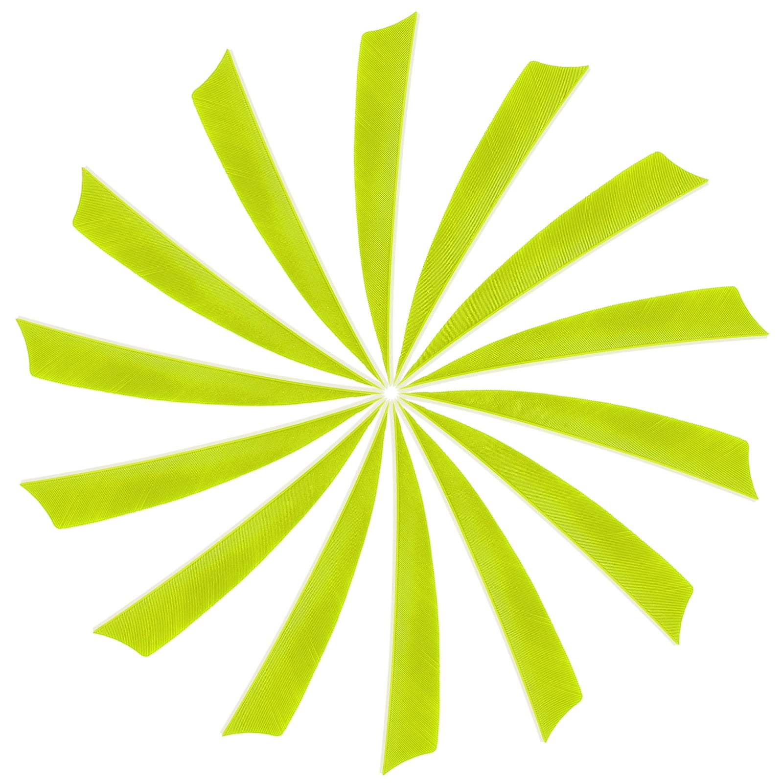 Uxcell Arrow Vanes Turkey Archery Arrows Feather Fletching Left Wing ...