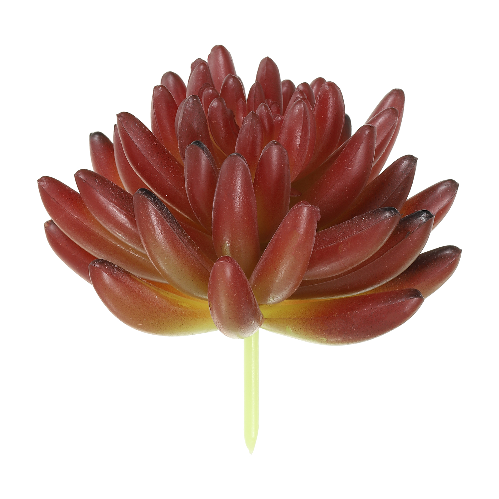 Uxcell Artificial Succulent Plants Unpotted Fake Succulents Simulation ...