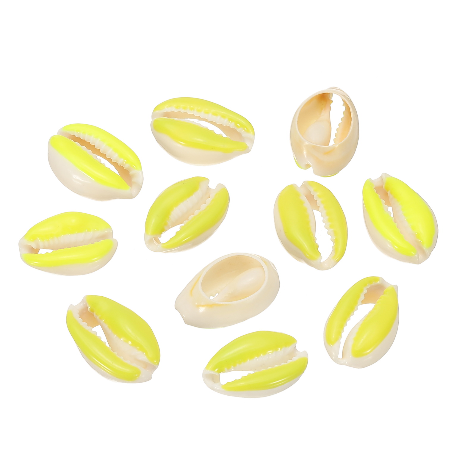Uxcell Colored Shell, 10 Pcs Yellow Green, White Smooth Cut Oval ...