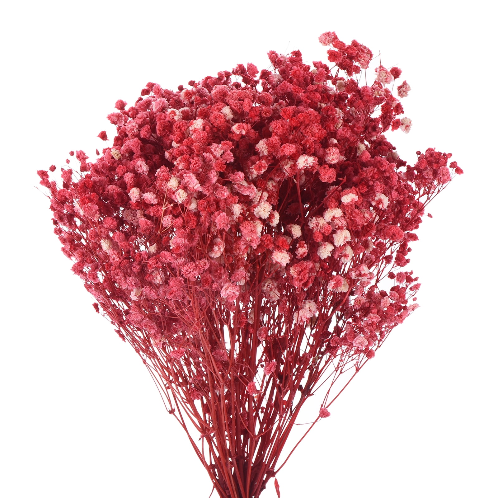 Uxcell Dried Baby's Breath Flowers 12 Inch Gypsophila Red Natural Baby ...