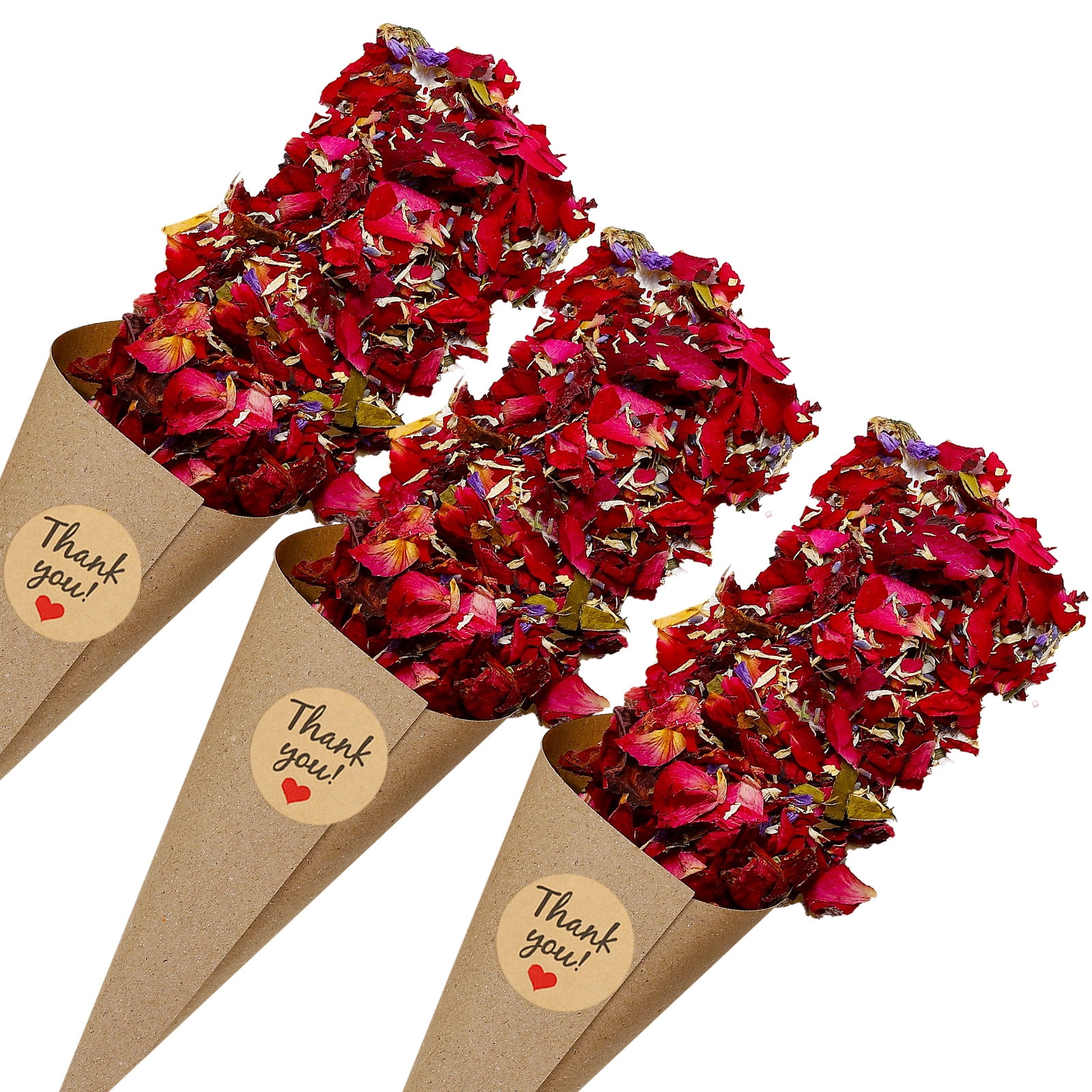 Uxcell Dried Flower Confetti Cones, Paper Tapers Cone Holder with Dried ...