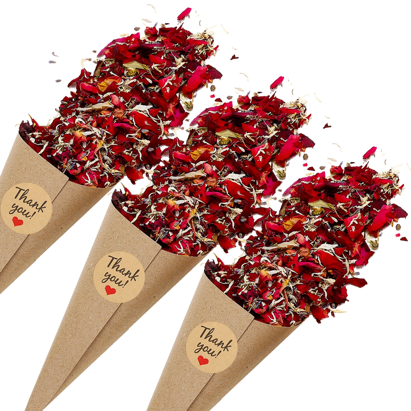 Uxcell Dried Flower Confetti Cones, Paper Tapers Cone Holder with Dried ...