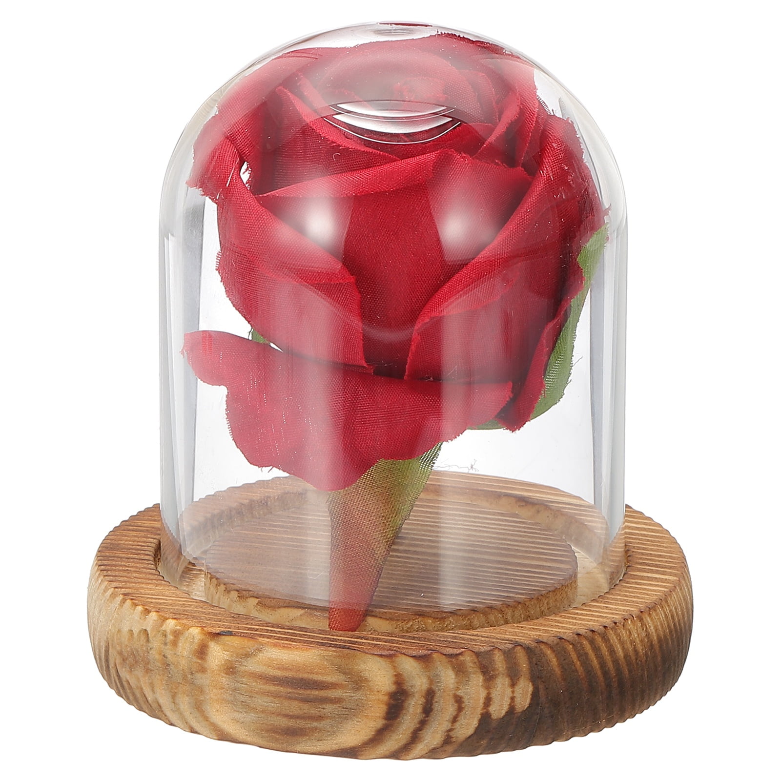 Uxcell Glass Cloche Display Dome, 3.1" x 2.5" Glass Dome Display Case ...