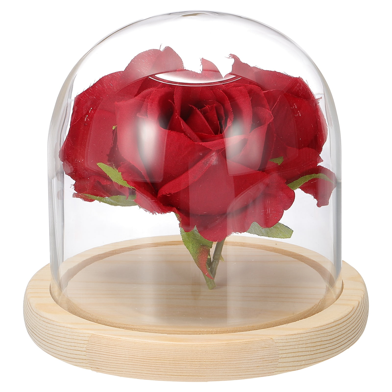 Uxcell Glass Cloche Display Dome, 4.7