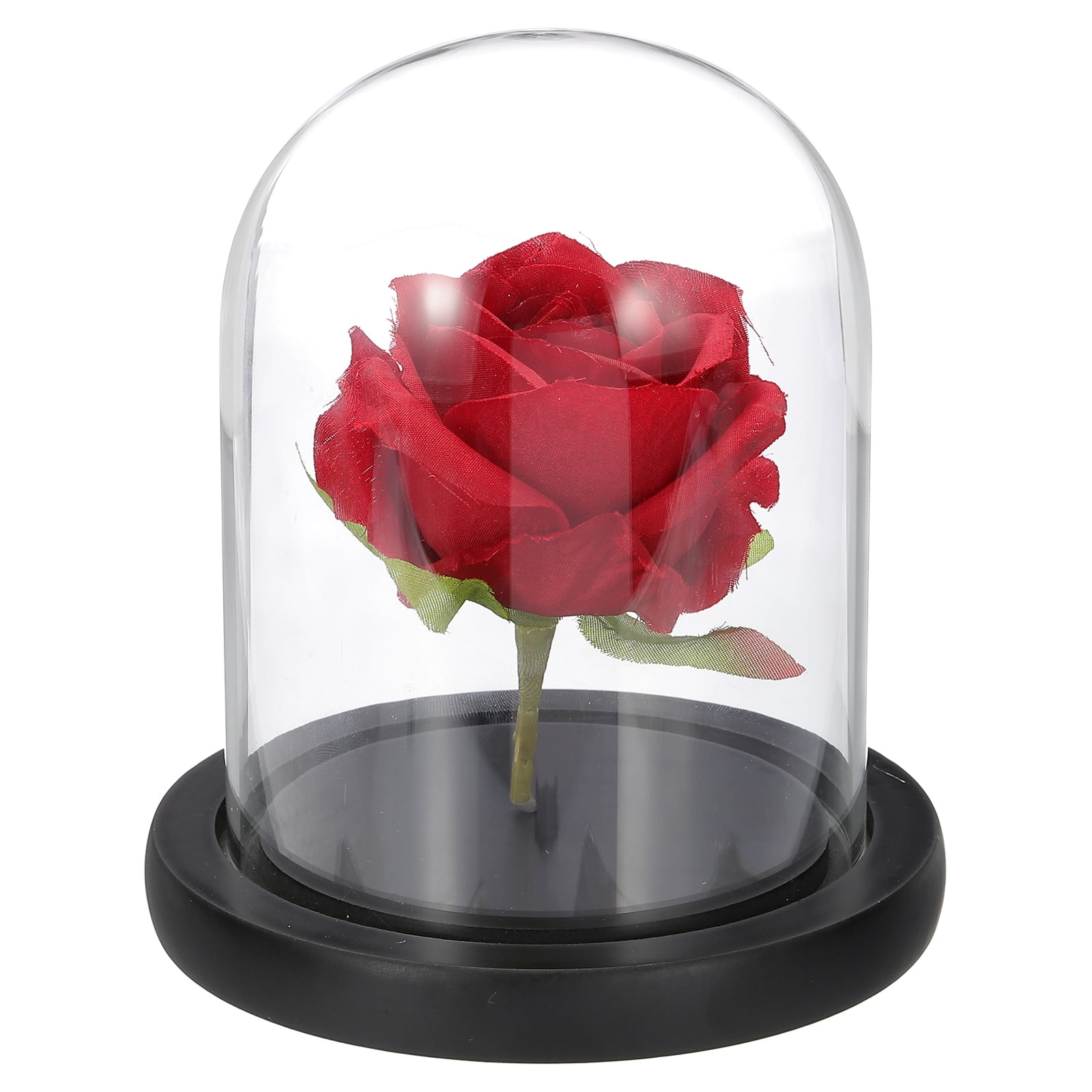 Uxcell Glass Cloche Display Dome, 5.1" x 3.9" Glass Dome Display Case ...