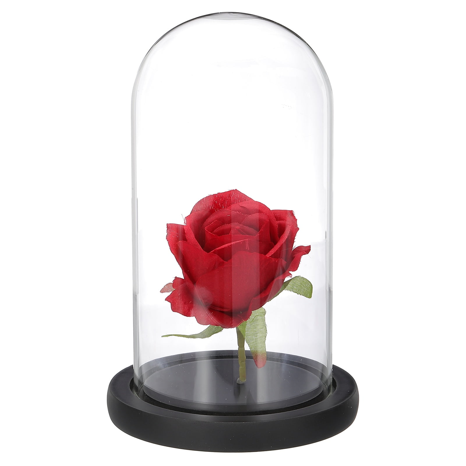 Uxcell Glass Cloche Display Dome, 7.4" x 3.9" Glass Dome Display Case ...