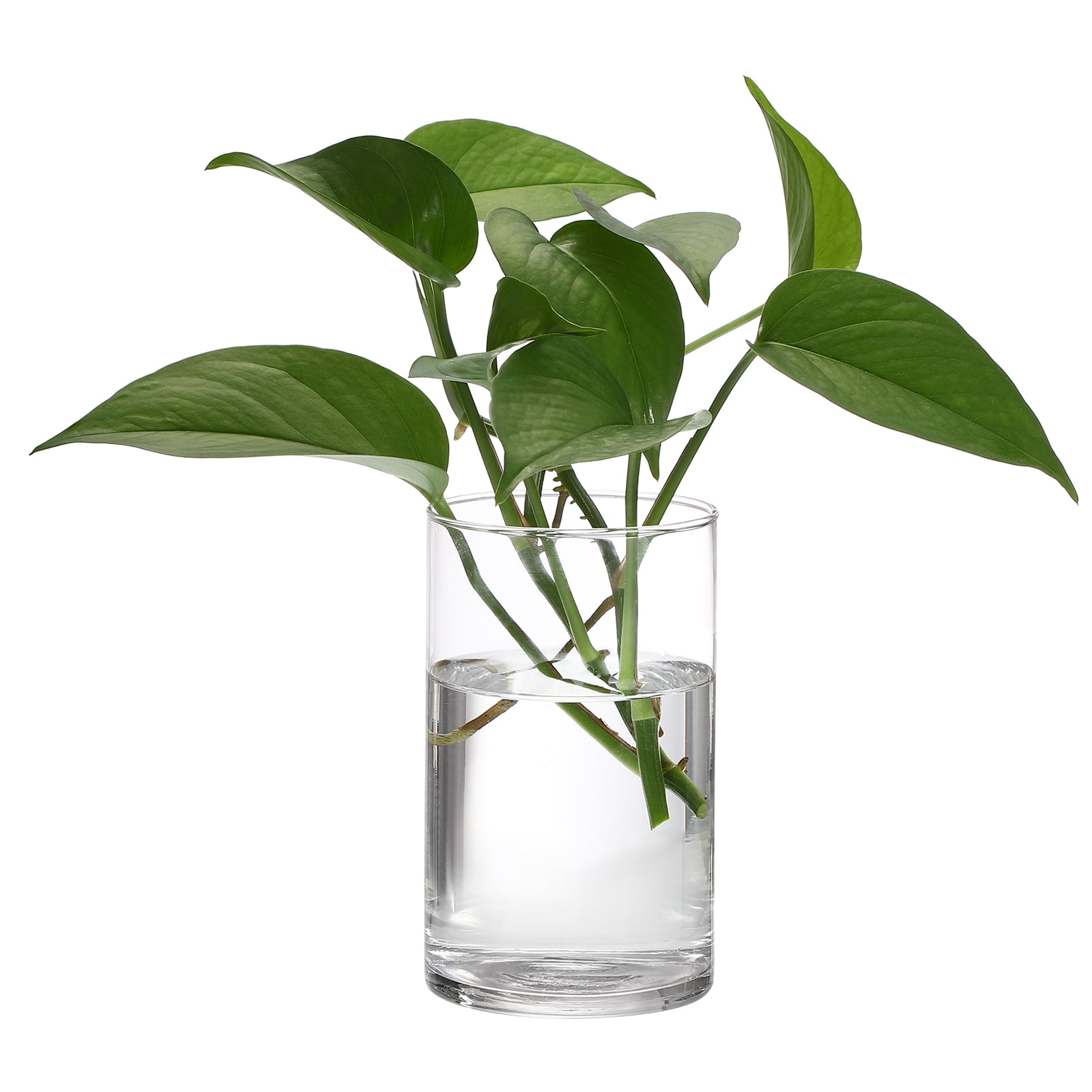 Uxcell Glass Vase 6x3.5 Inch, 1 Pcs Planter Terrarium for Wedding Home ...