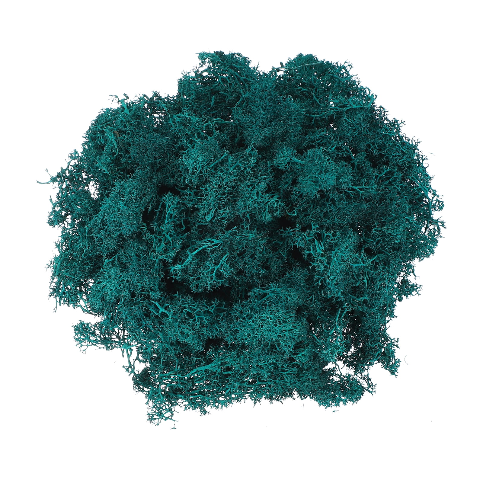 Uxcell Preserved Reindeer Moss, 7 oz Fake Moss for Crafts Artificial ...