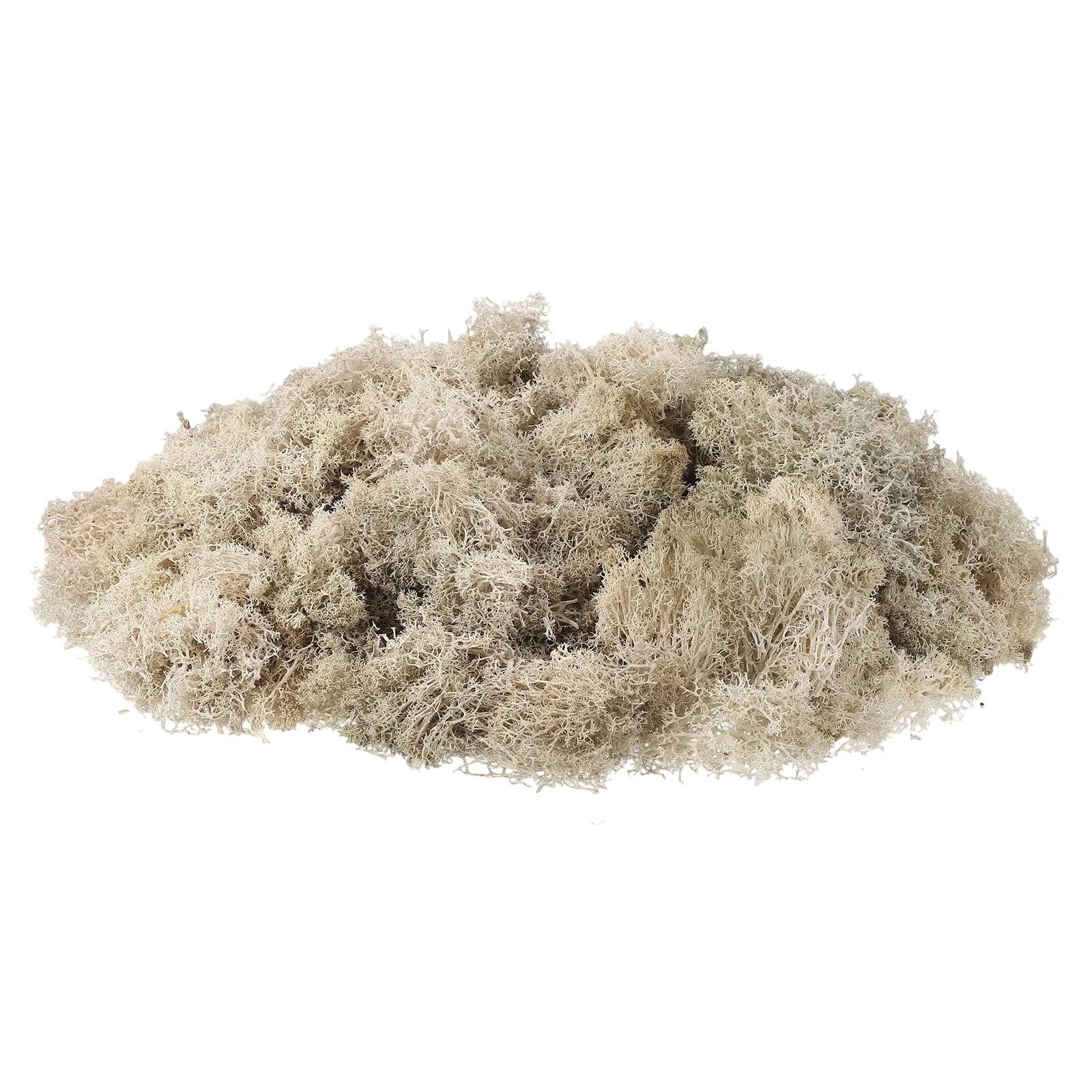 Uxcell Preserved Reindeer Moss, 7 oz Fake Moss for Crafts Artificial ...