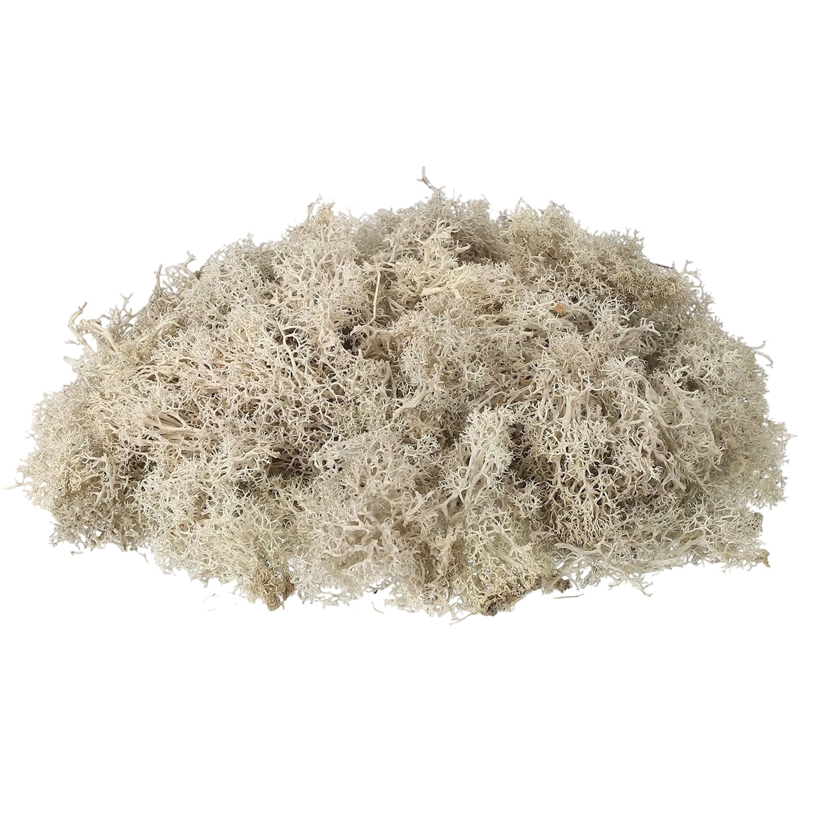 Uxcell Preserved Reindeer Moss, 7 oz Fake Moss for Crafts Artificial ...