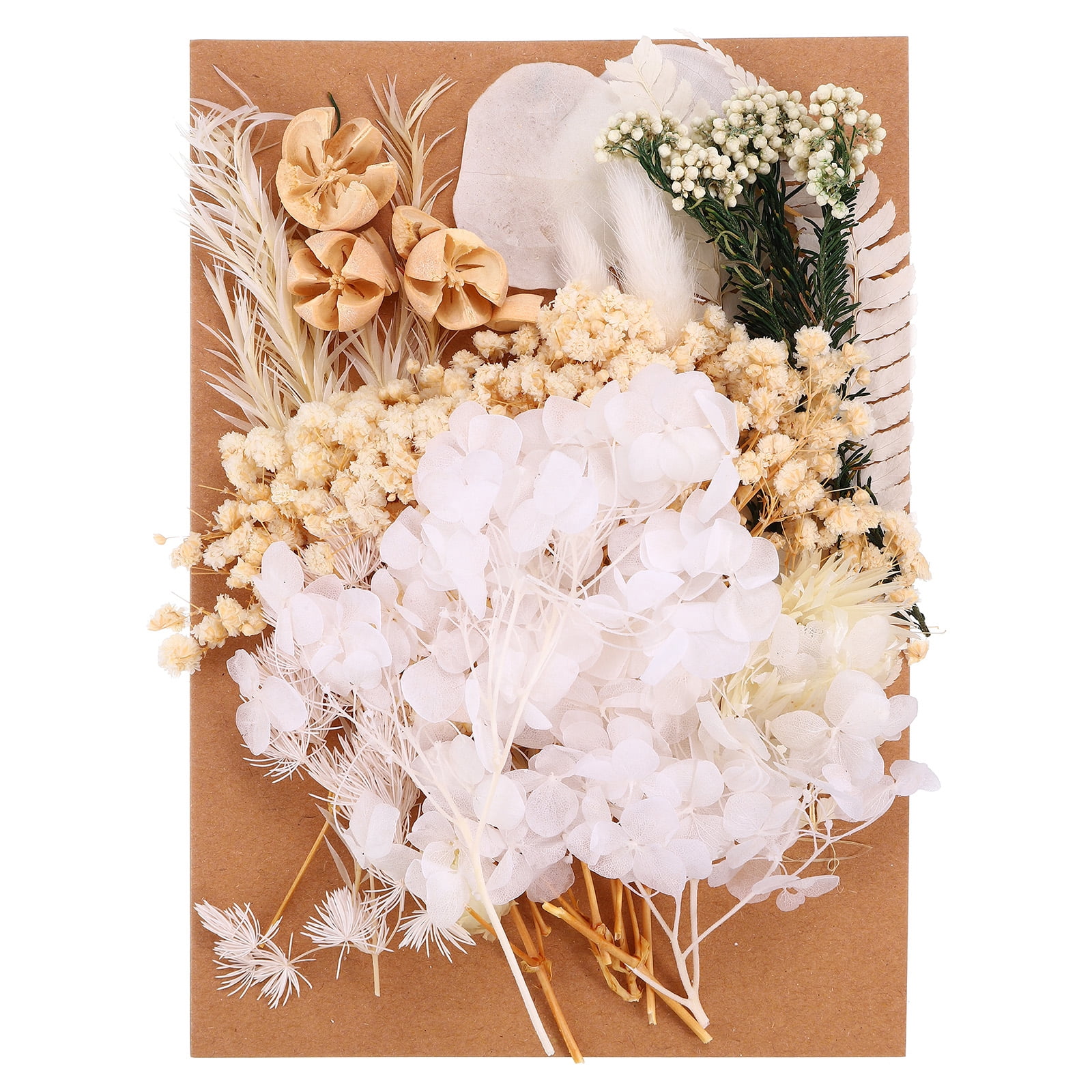 Uxcell Pressed Flowers for Craft Bulk Dried Flowers Natural Pressed ...