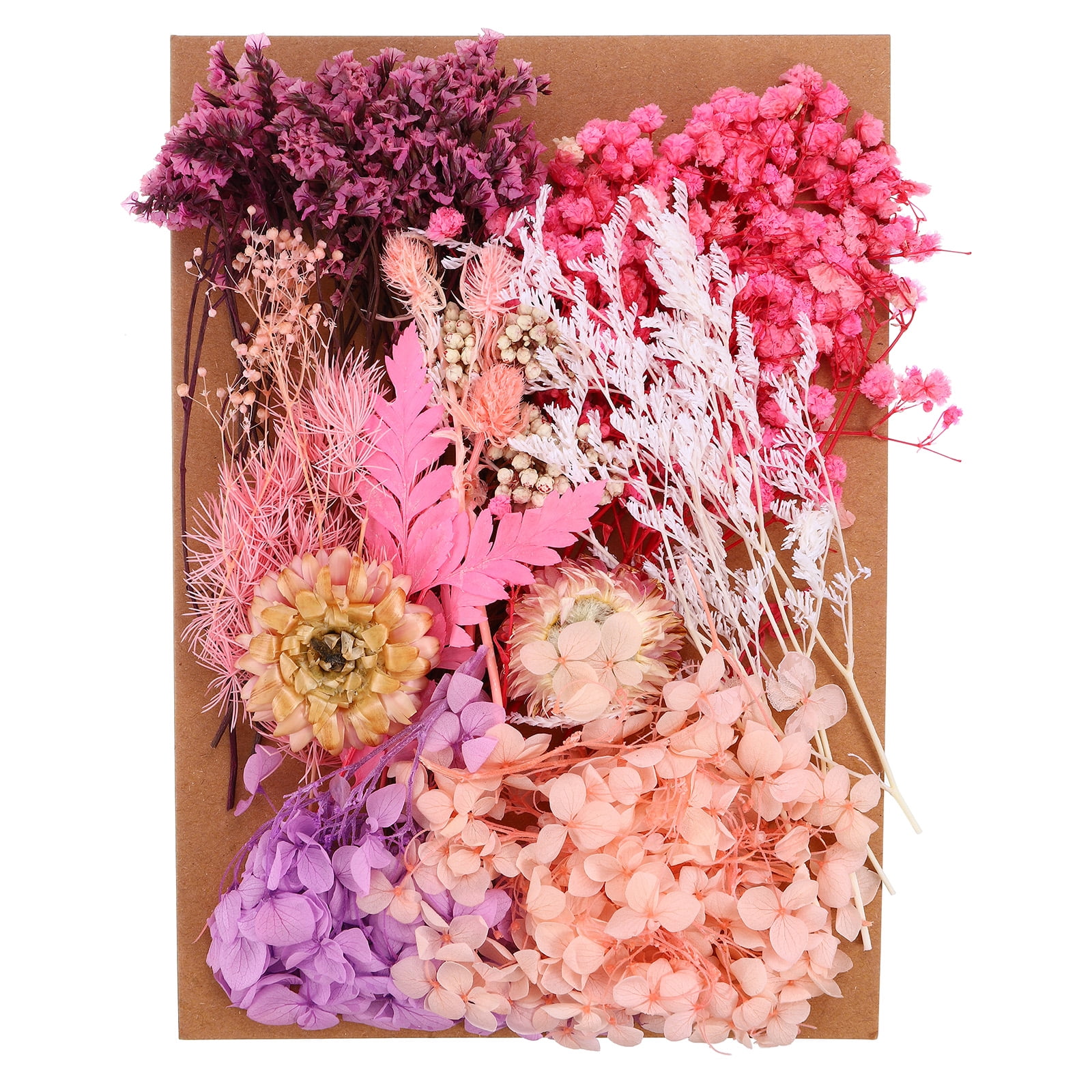 Uxcell Pressed Flowers for Craft Bulk Dried Flowers Natural Pressed ...