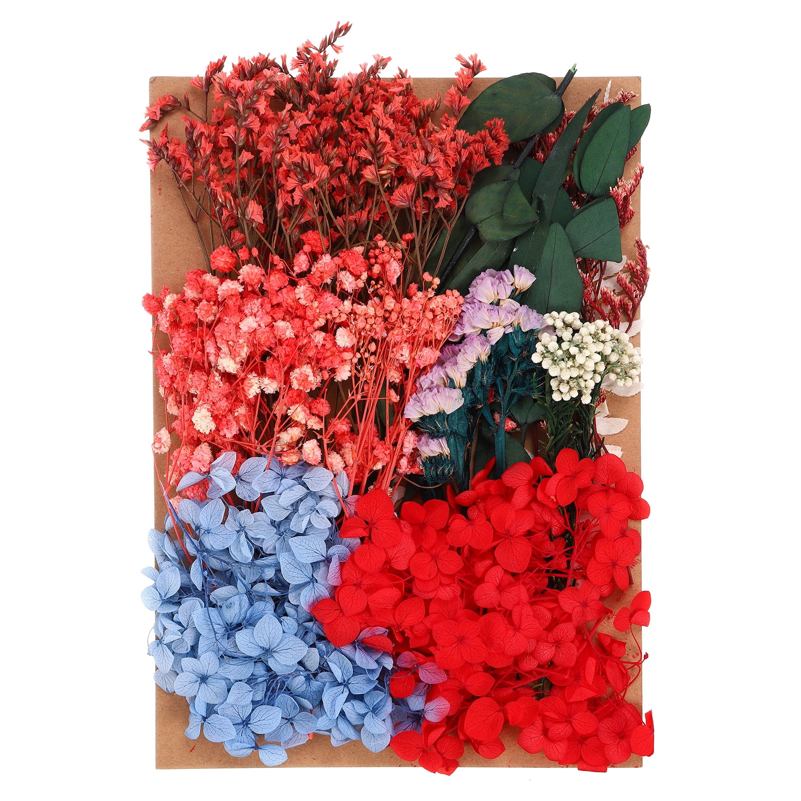 Uxcell Pressed Flowers for Craft Bulk Dried Flowers Natural Pressed ...
