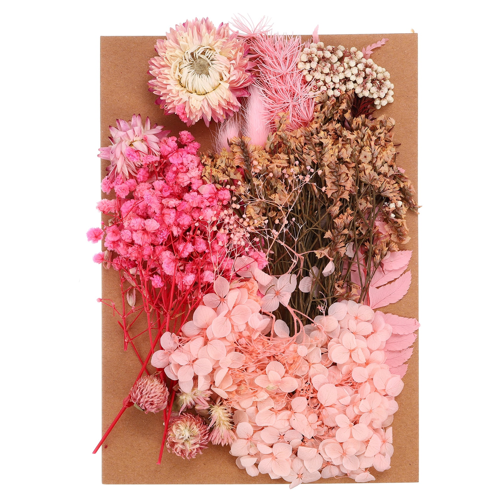 Uxcell Pressed Flowers for Craft Bulk Dried Flowers Natural Pressed ...