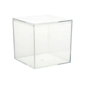 Fisher-Price Little People Storage Organizer Case, Carry-Ready Clear ...