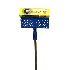 Squeegee Mop