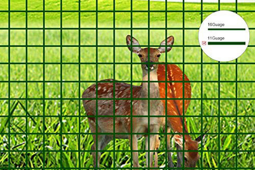 V Protek 11 Gauge 2ft-Hx10ft-L Mesh 2.4 inch Openings PVC Coated Fence ...