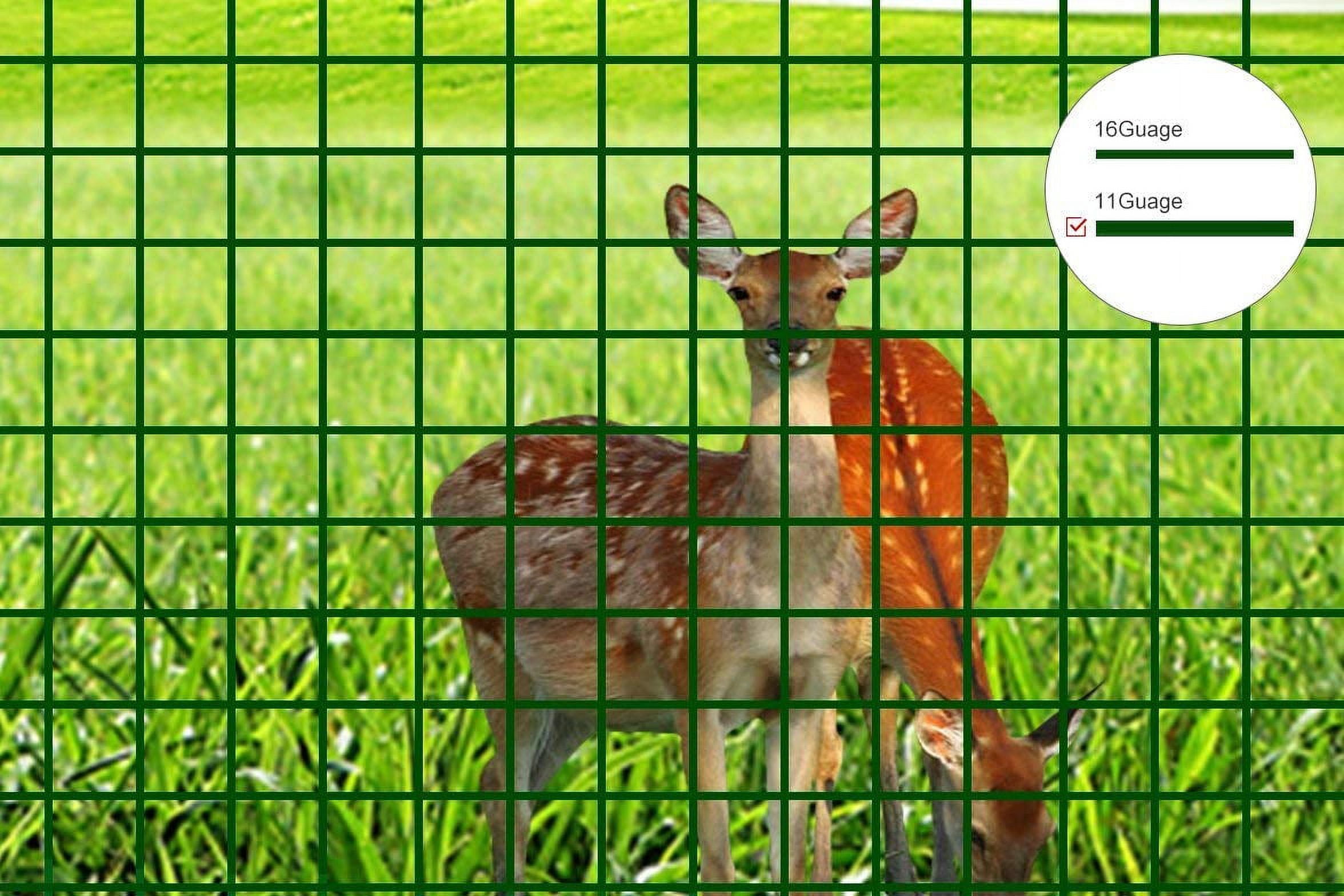 V Protek Ultimate Tomato Cage Heavy Duty 5ft-Hx98ft-L Mesh 2.4 inch ...