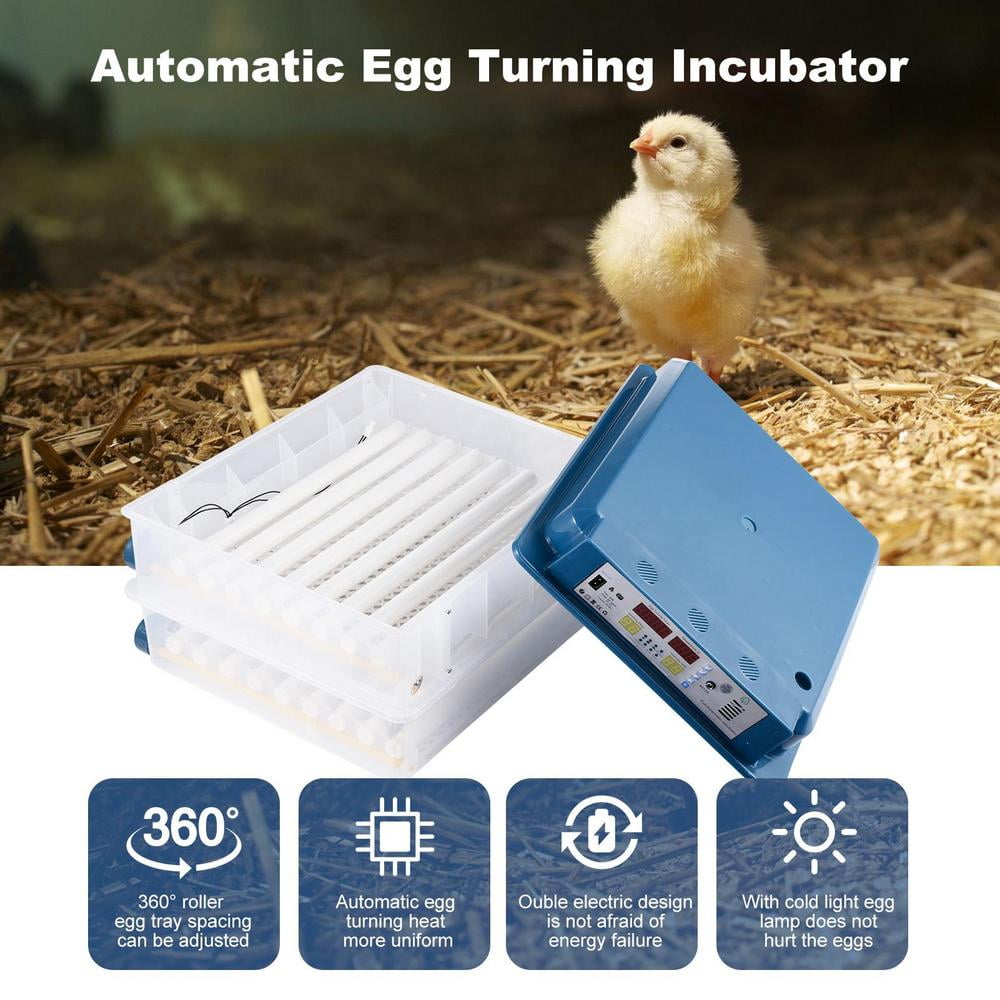 VAHIGCY Automatic Egg Hatcher Intelligent Automatic Egg Hatcher Precise ...