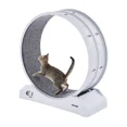 VAIKAXY 31.5" Cat Treadmill Cat Exercise Wheel for Indoor Cats with ...