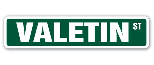 VALETIN Street Sign Childrens Name Room Sign | Indoor/Outdoor | 36 ...