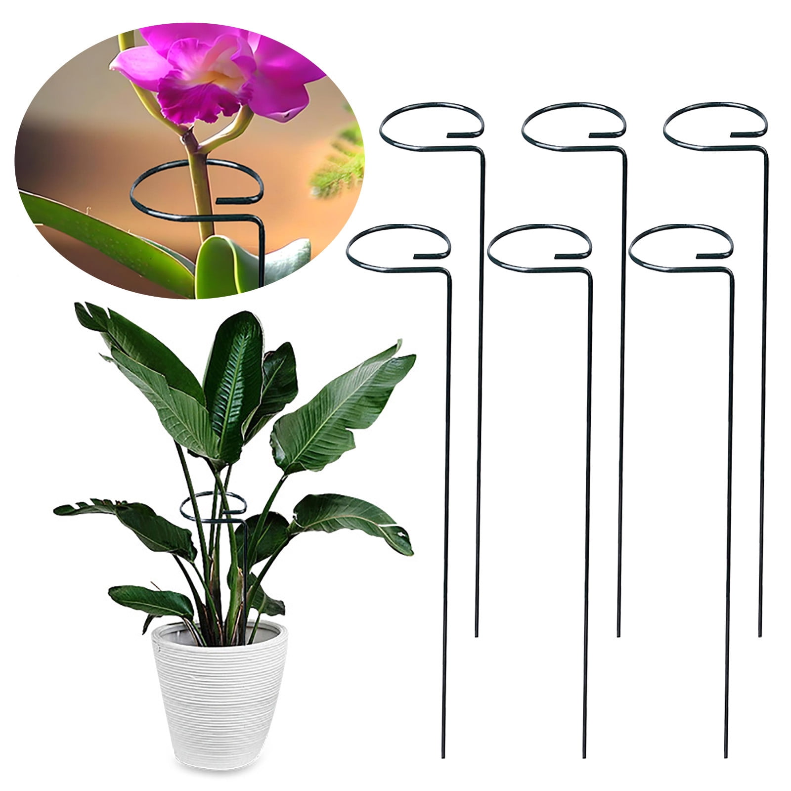 VALSEEL Gardening Supplies Plant Climbing Frame Green Plant Stand ...