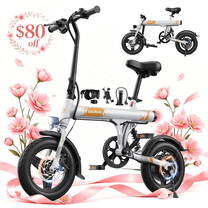 VARUN 24" Electric Bike for Adults, 350W Motor, 20MPH, 36V Removable ...