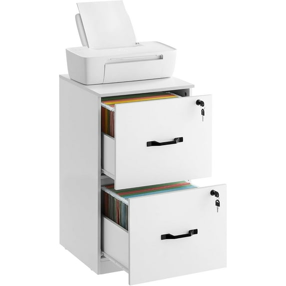 VASAGLE 2-Drawer Vertical File Cabinet Filing Cabinet Printer Stand ...