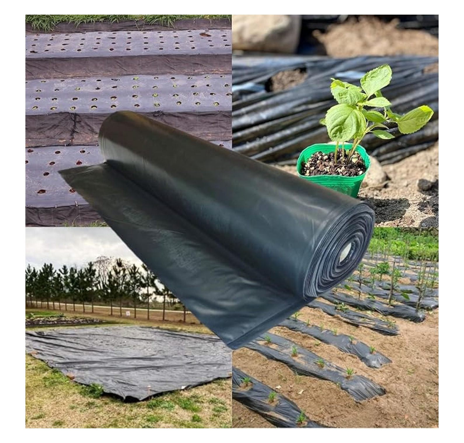 VBS - Weed Control 6 Mil Black Plastic Sheeting - Heavy Duty Weed ...