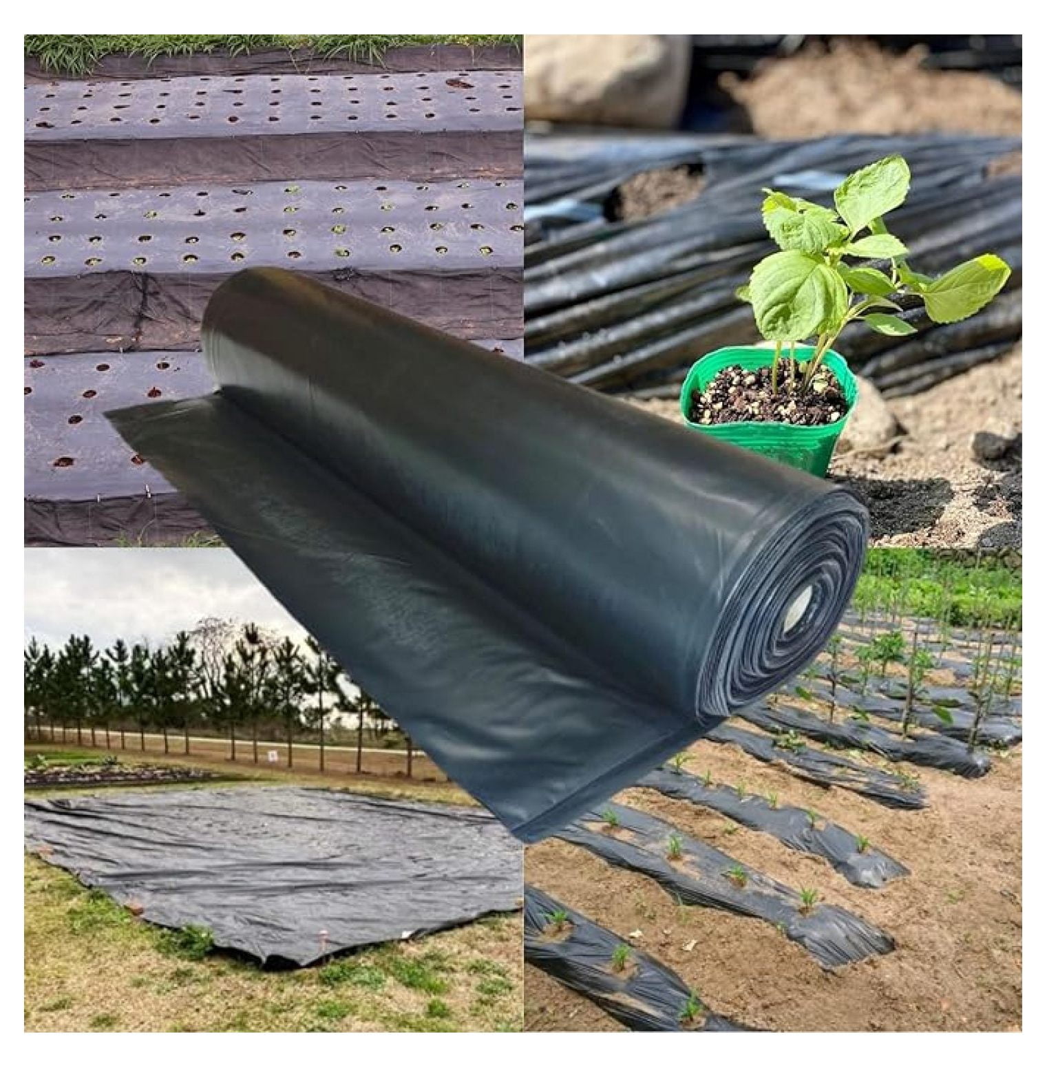 VBS - Weed Control 6 Mil Black Plastic Sheeting - Heavy Duty Weed ...