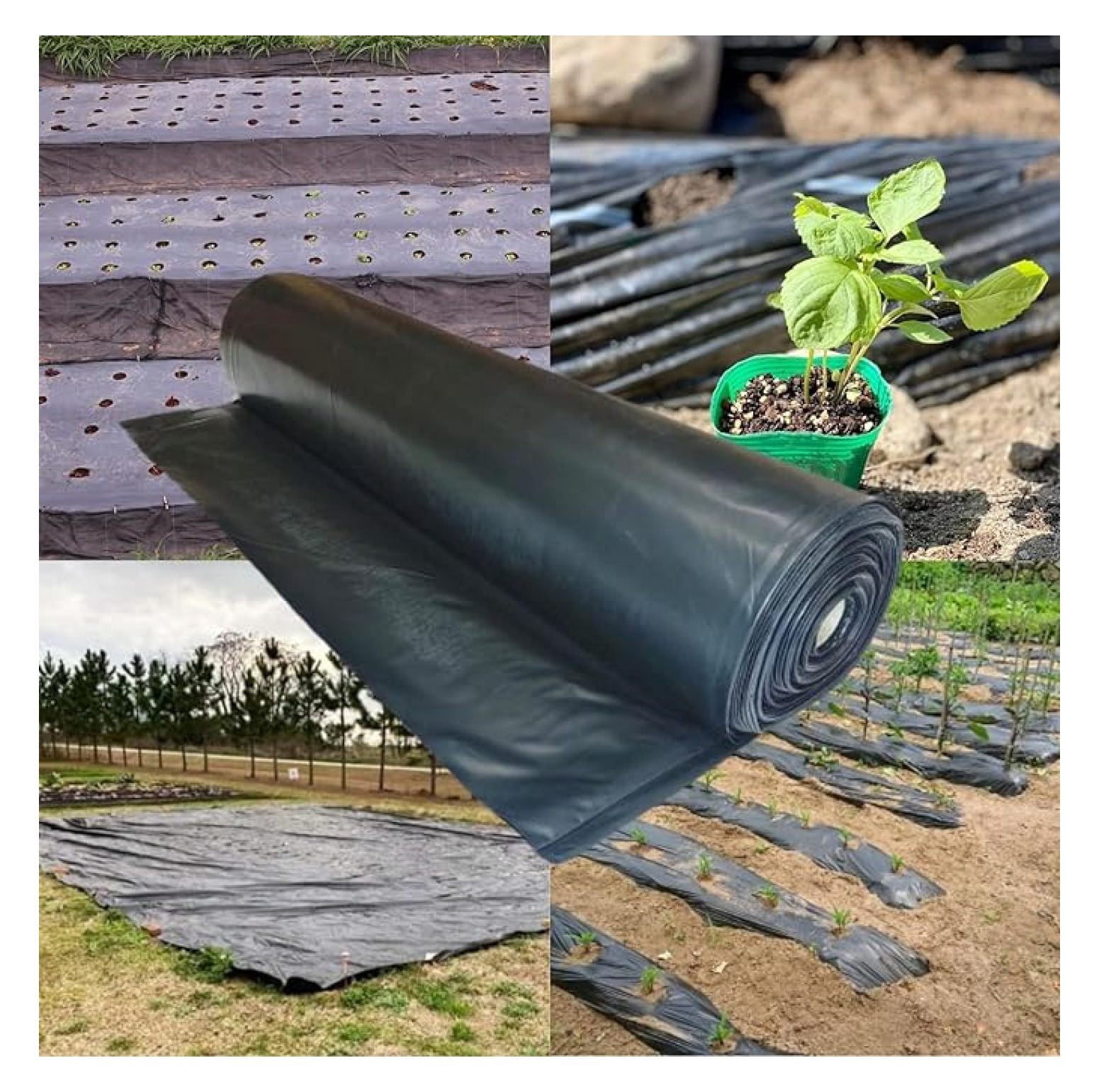 VBS - Weed Control 6 Mil Black Plastic Sheeting - Heavy Duty Weed ...
