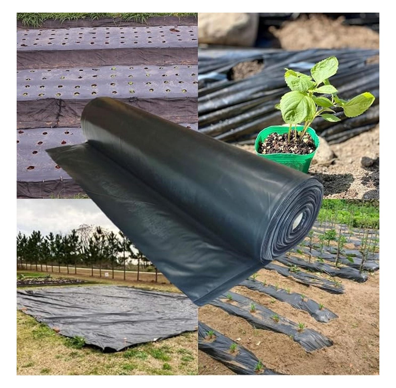 VBS - Weed Control 6 Mil Black Plastic Sheeting - Heavy Duty Weed ...