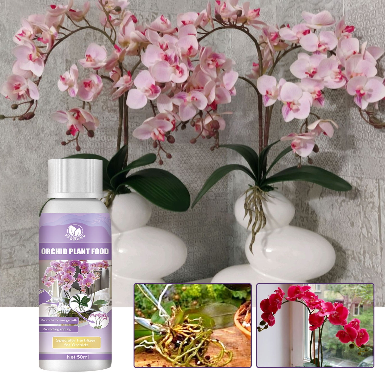 VBVC Orchid Plant Food Suitable for All Indoor Plants,Promoting Growth ...