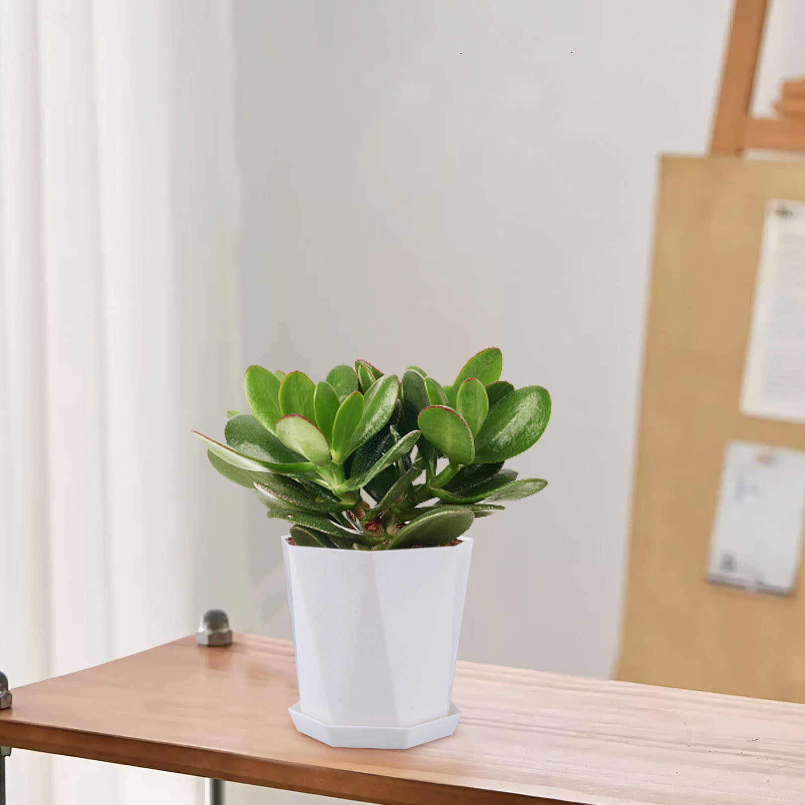 VBXOAE 5 Pack Modern Geometric Design Plastic Flower Pots with Bases ...