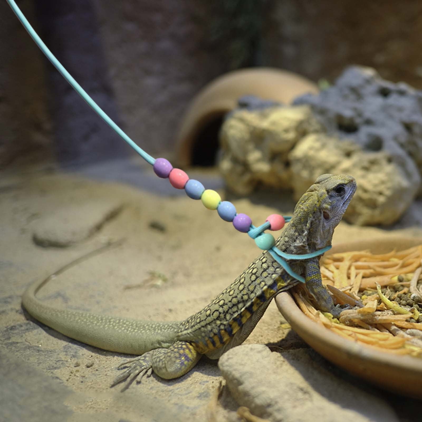 VBXOAE Bearded Dragon Lizard Leash Harness Adjustable Beads Wing Lizard ...