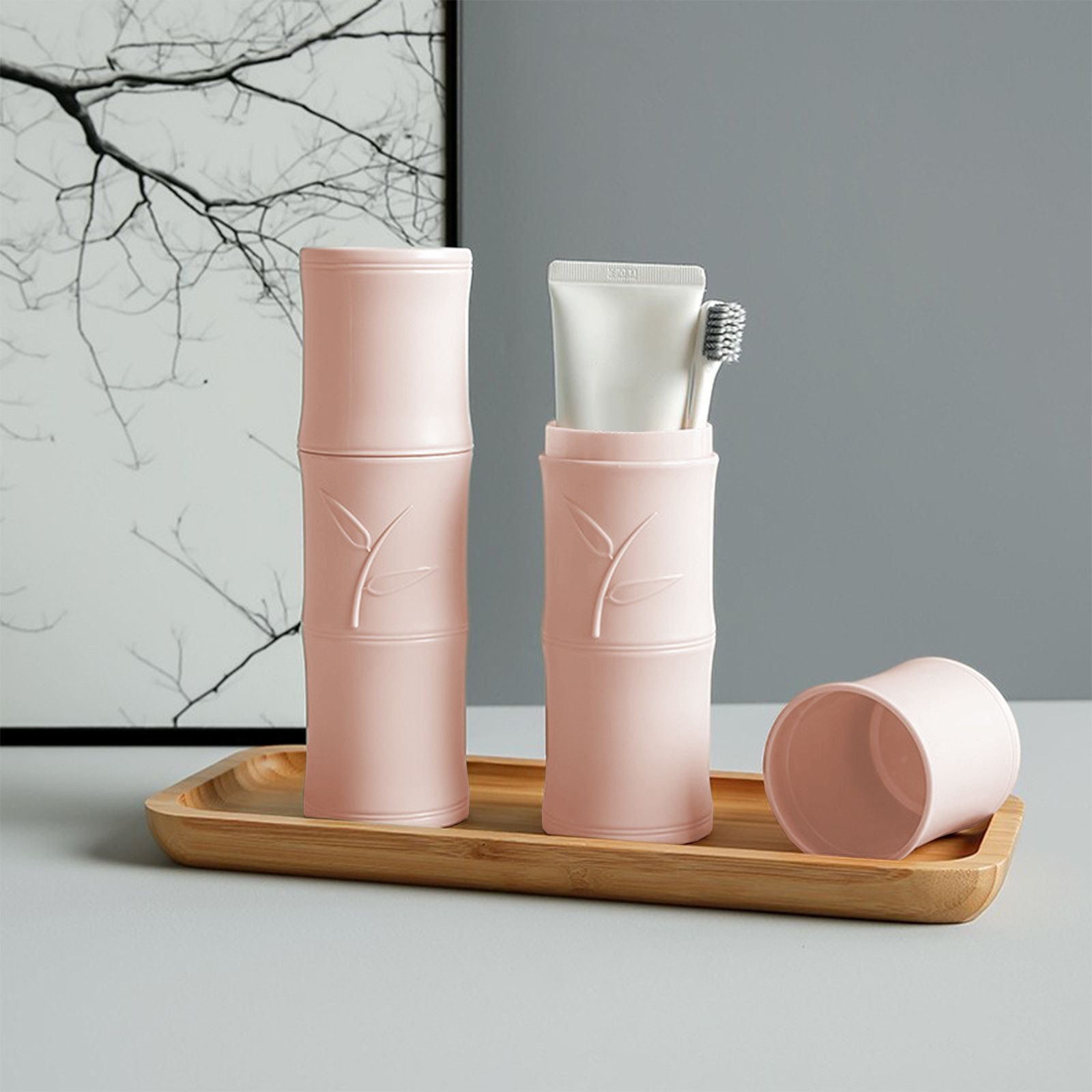 VBXOAE Portable Travel Toothbrush and Toothpaste Holder with Secure Lid ...