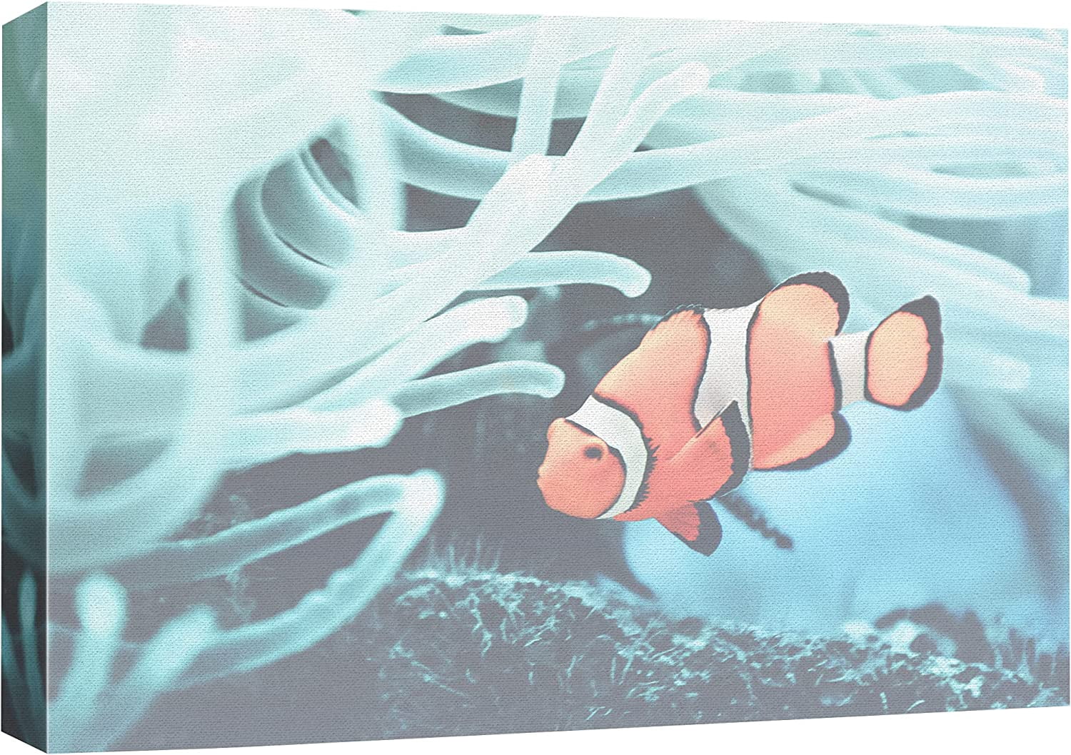 VELVET Canvas Prt Wall Art Clownfish Swims Under Coral Amphibians Ocean ...