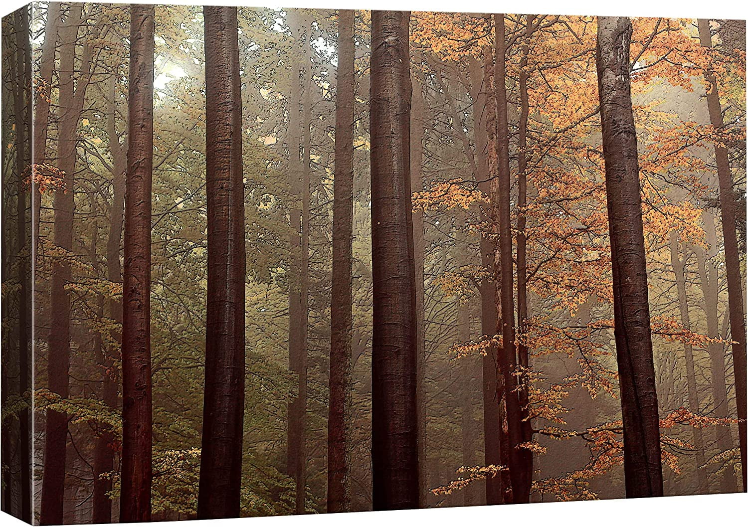 VELVET Canvas Prt Wall Art Red Pe Tree Forest Autumn Nature Wilderness ...