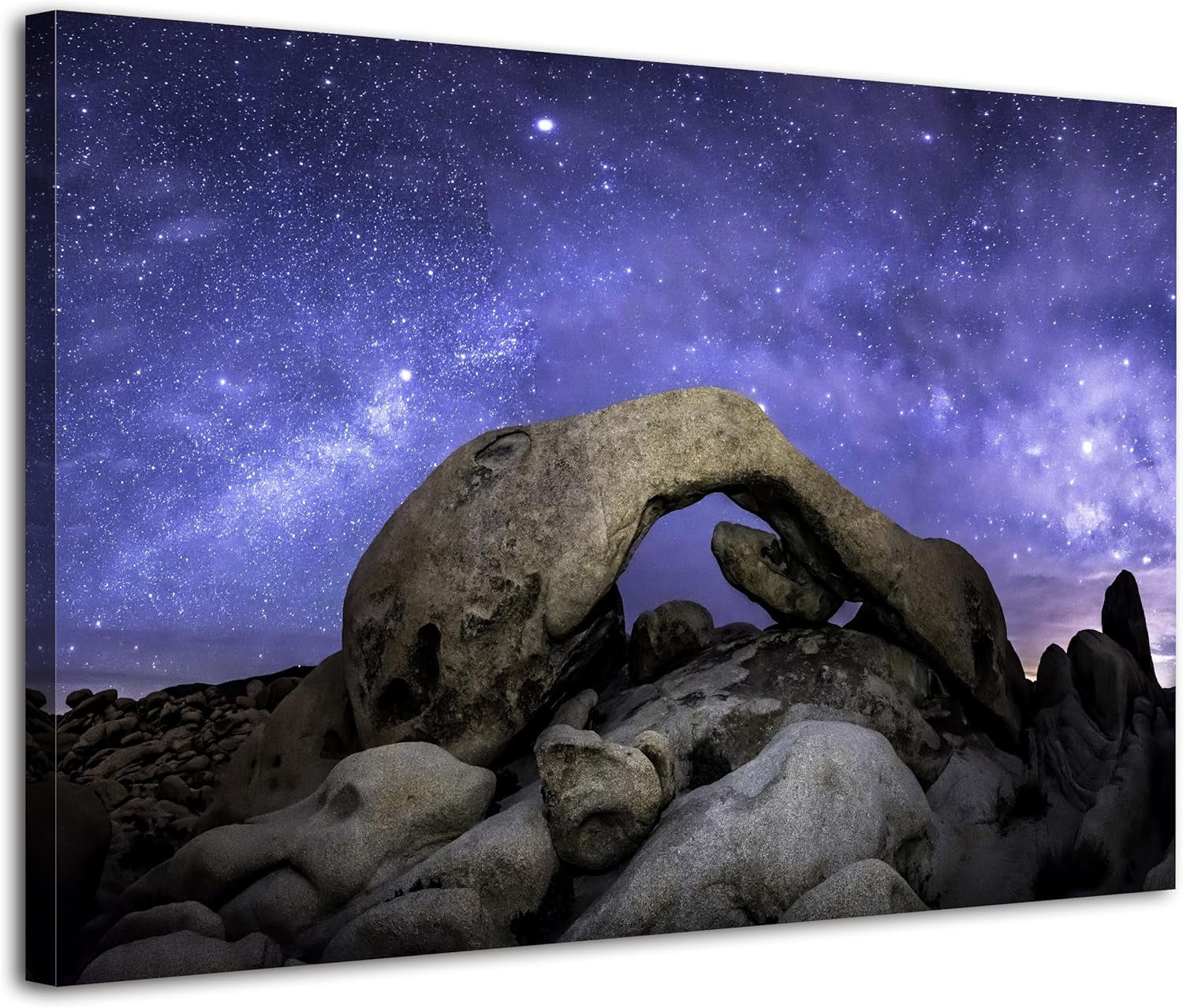 VELVET Extra Large Joshua Tree Wall Art for Living Room, National Park ...