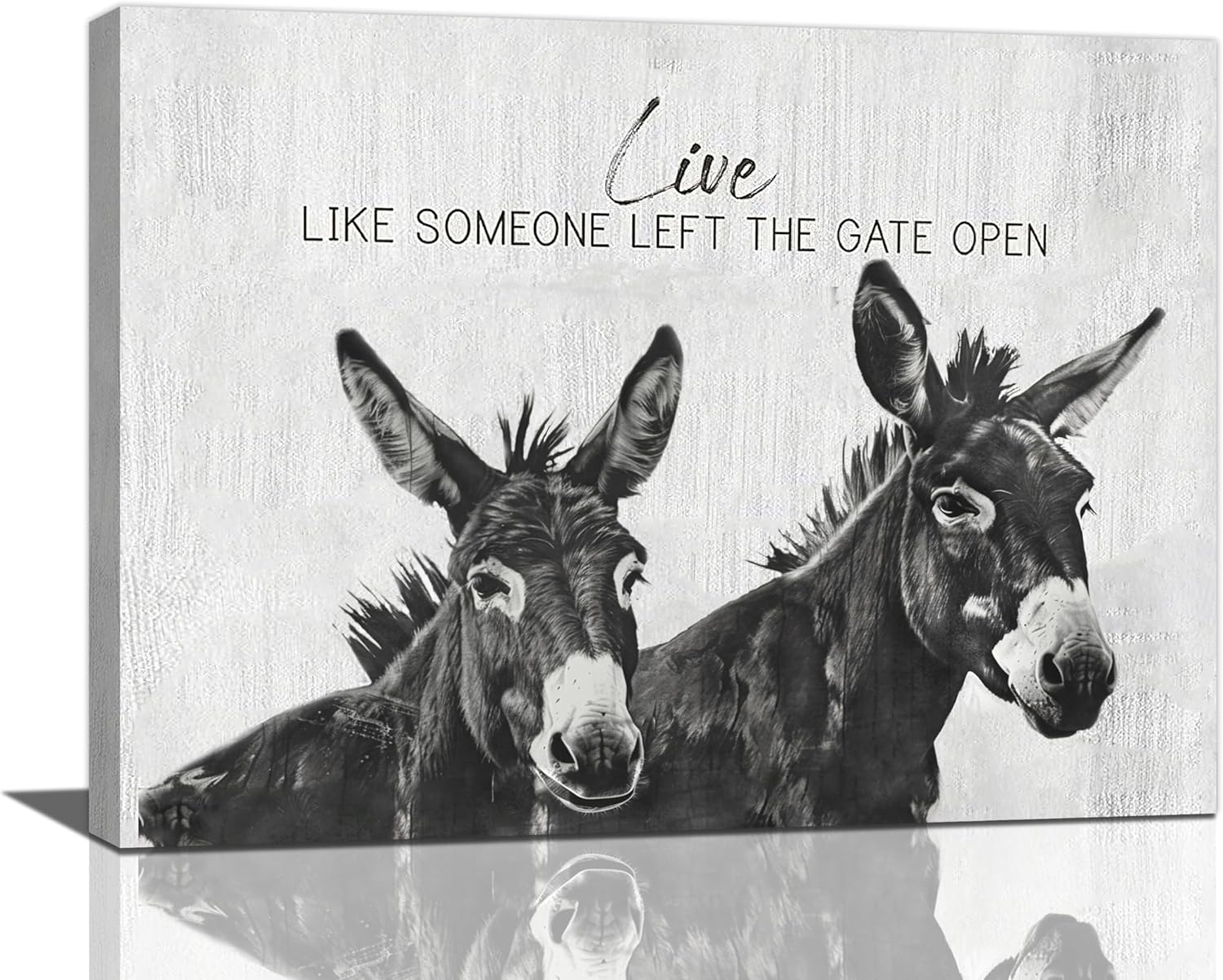 VELVET Farmhouse Donkey Wall Art Black and White Donkey Pictures Wall ...