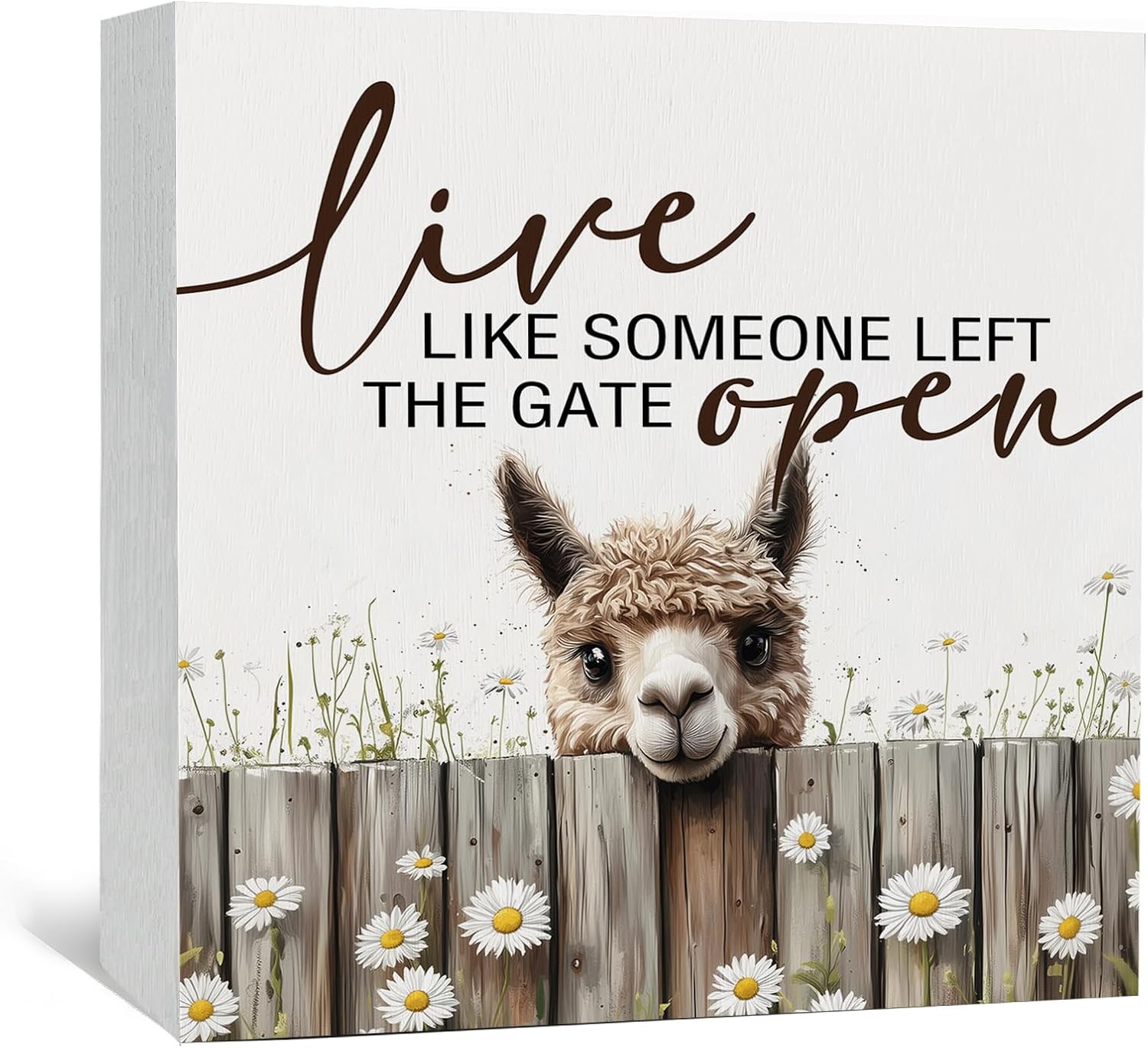 VELVET Live like Someone Left the Gate Open Alpaca Wooden Signs,Farm ...