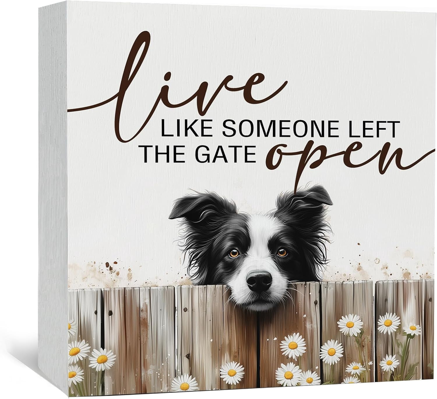 VELVET Live like Someone Left the Gate Open Border Collie Wooden Signs ...