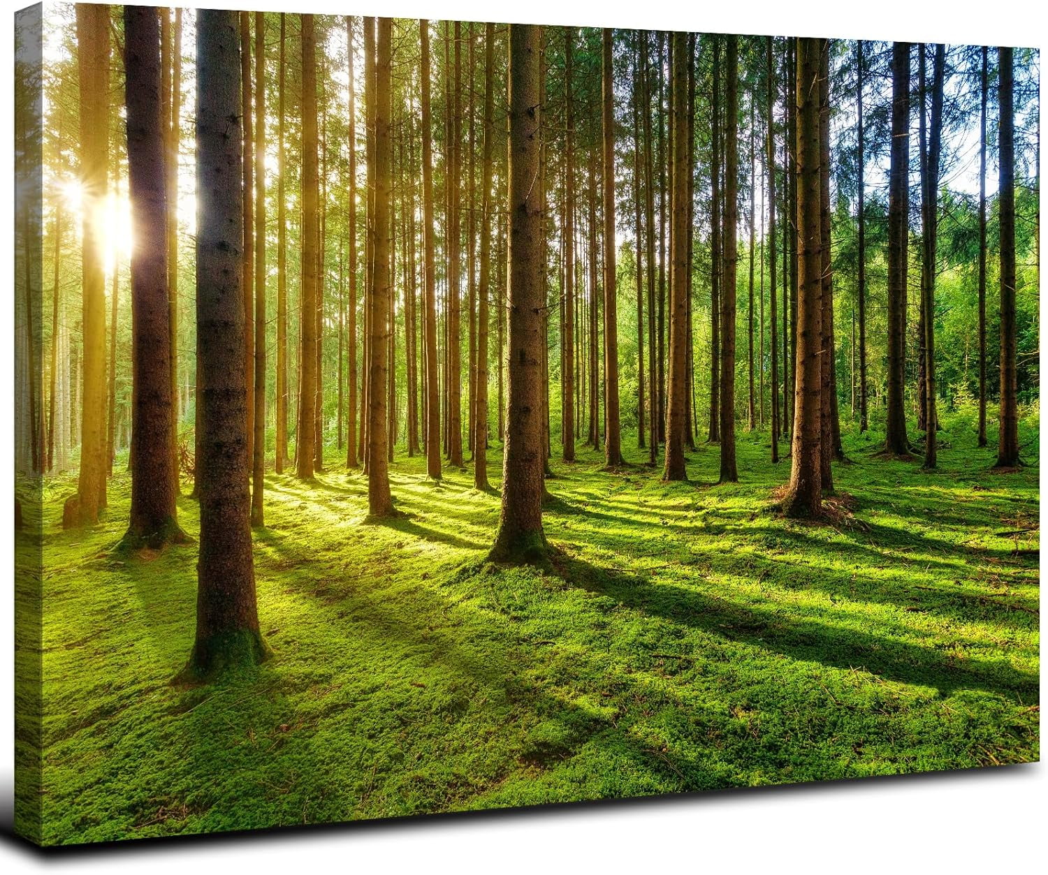 VELVET Morning Sunlight Forest Wall Art Nature Scenery Pictures Wall ...