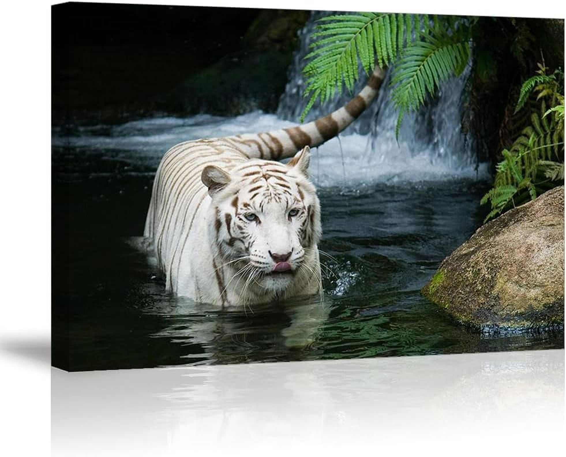 VELVET White Tiger Picture Decor for Gorgeous Wall Art of Ivory Tigress ...