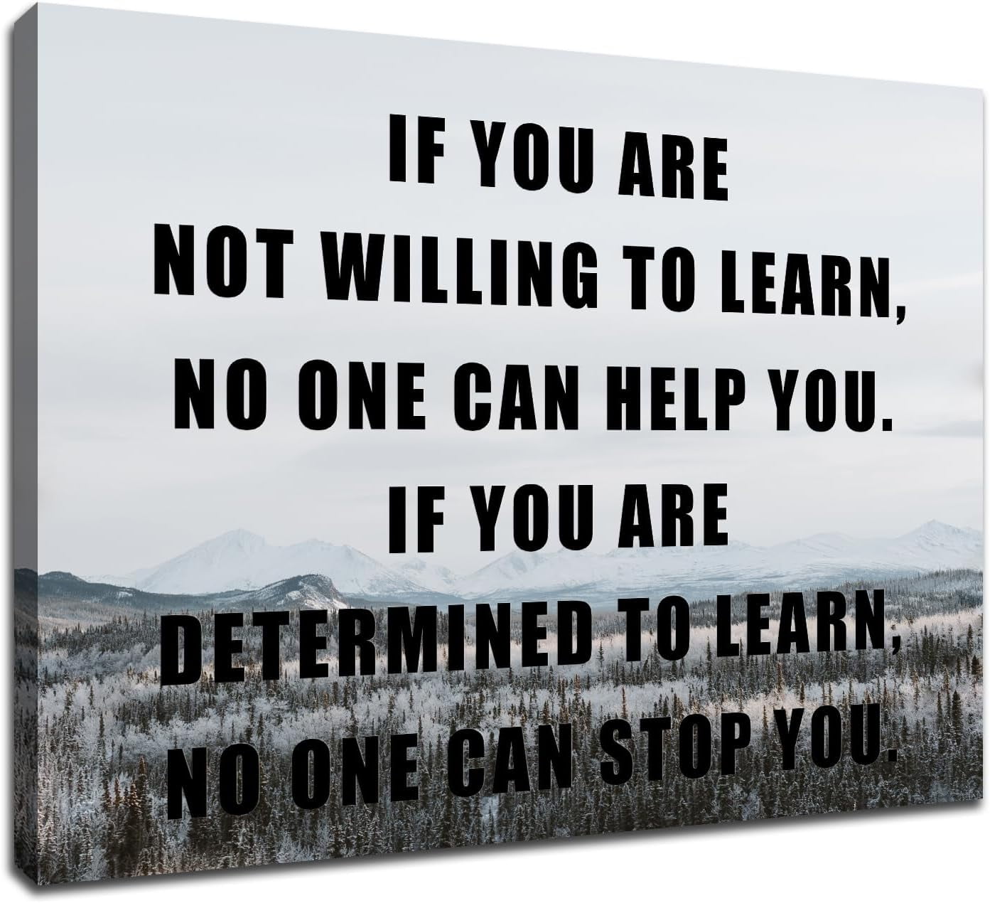 VELVET If You Are Not Willg to Learn spirational Canvas Wall Art Prts ...