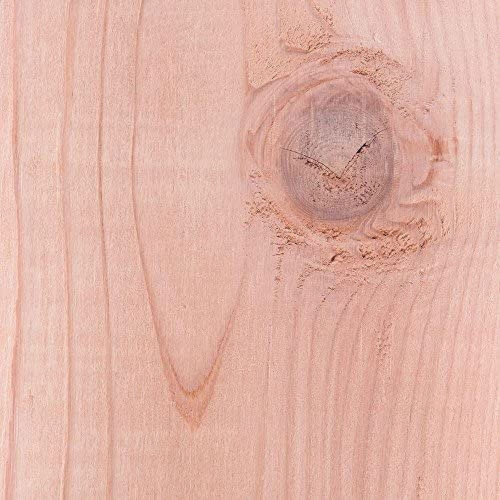 VENTRAL 2 in. x 4 in. (1 1/2" x 3 1/2") Construction Redwood Board Stud ...