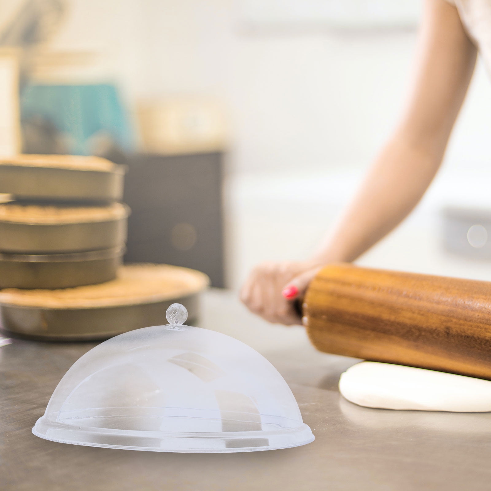 VERDANVERSE 1Pcs Cake Protector Acrylic Round for BBQ Picnics 10.81X10 ...