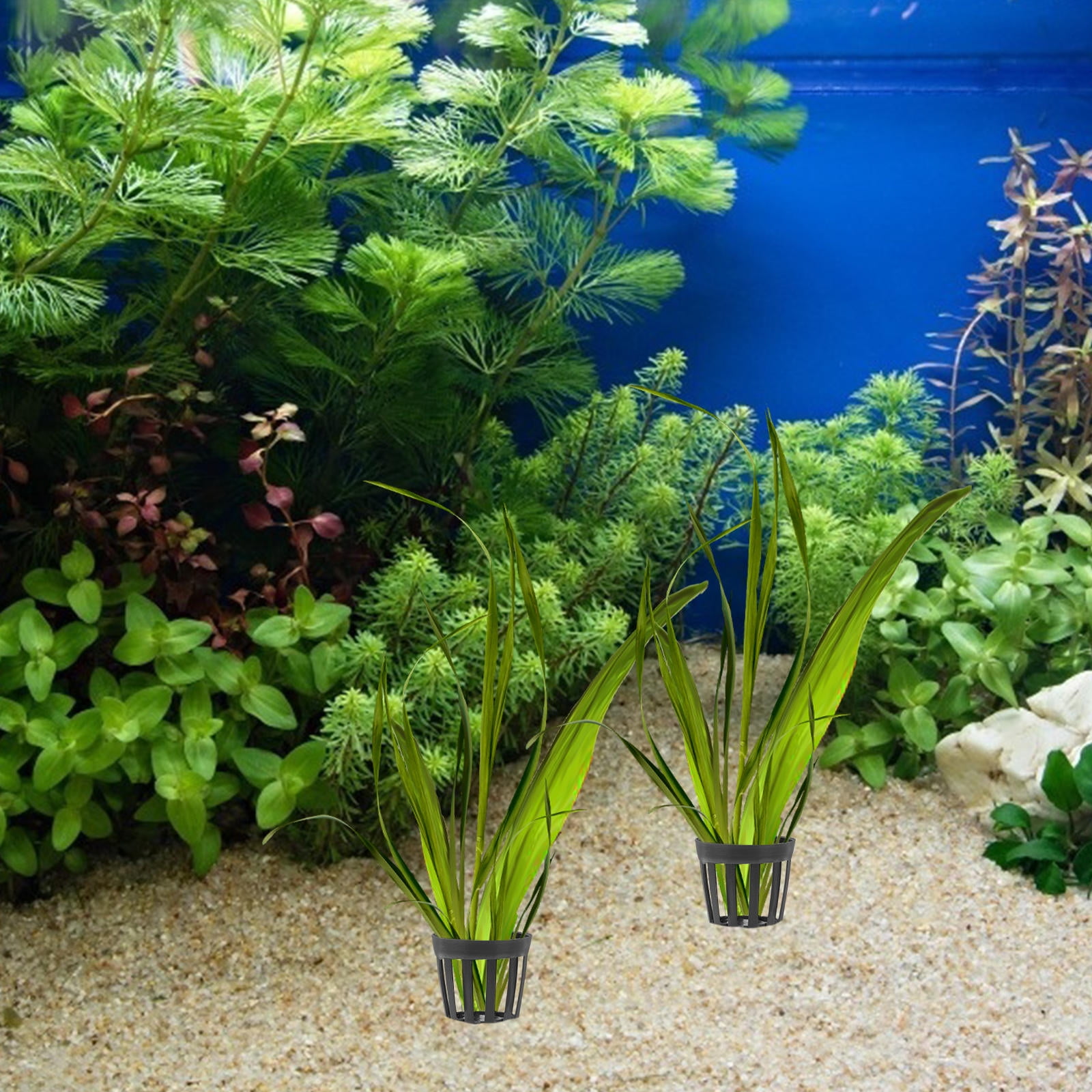 VERDANVERSE 50Pcs Fish Tank Planting Basket For Root Fixation In Small ...